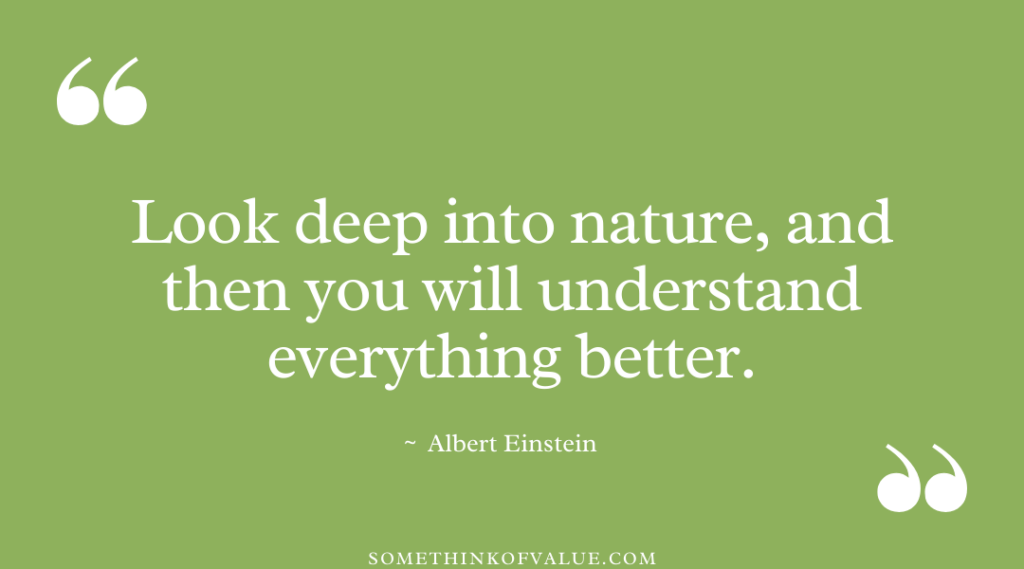 88 Inspiring Earth Day Quotes For Honoring Our Mother Nature - Some ...
